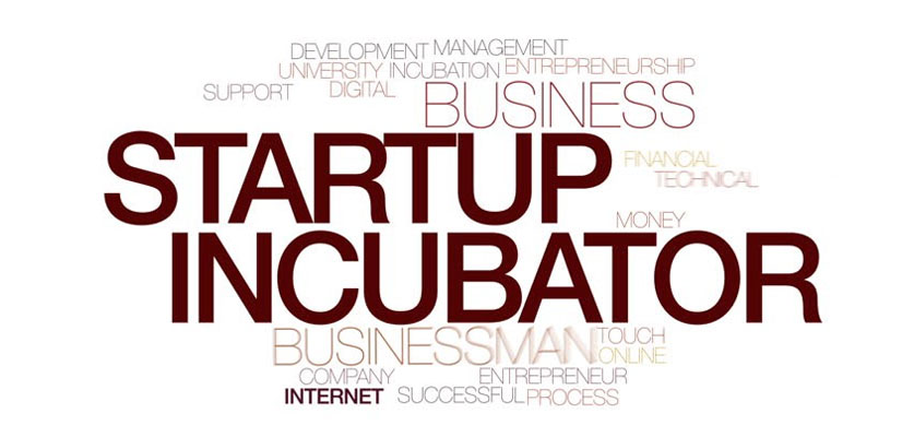 How a business incubator can help Online Startups » The Thrive